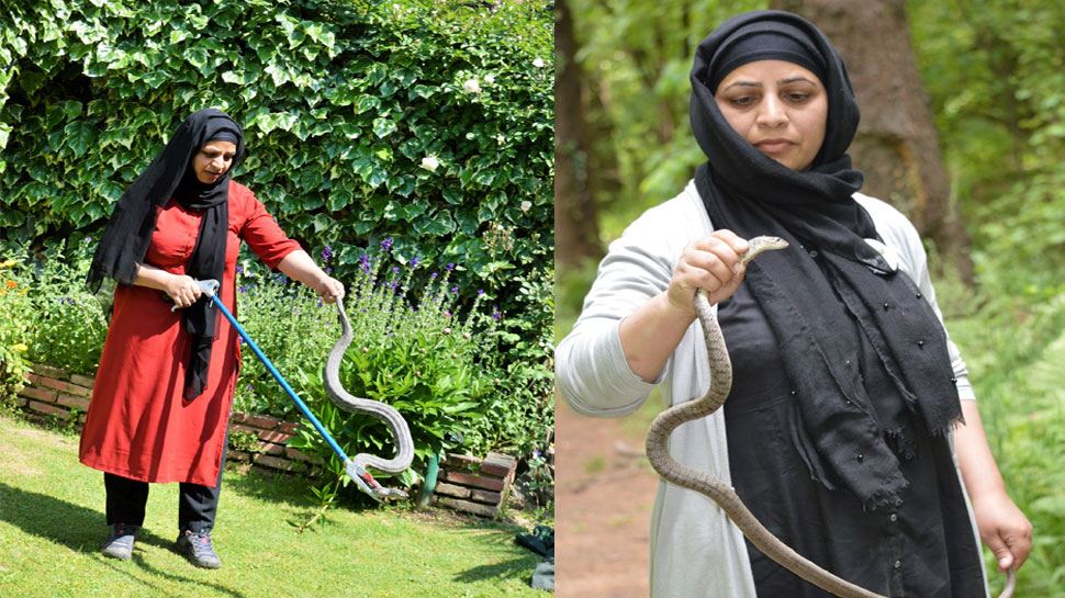 Meet Aaliya Mir A Kashmiri Woman Rescuing Snakes, Bears And all ...