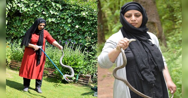 Meet Aaliya Mir A Kashmiri Woman Rescuing Snakes, Bears And all ...