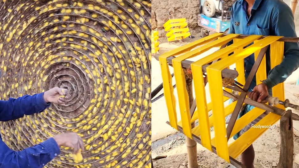 how does silk silk making through silkworm see entire process in viral ...