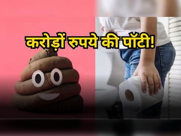 potty donation Company offer 1.5 crore for human excreta new Research ...