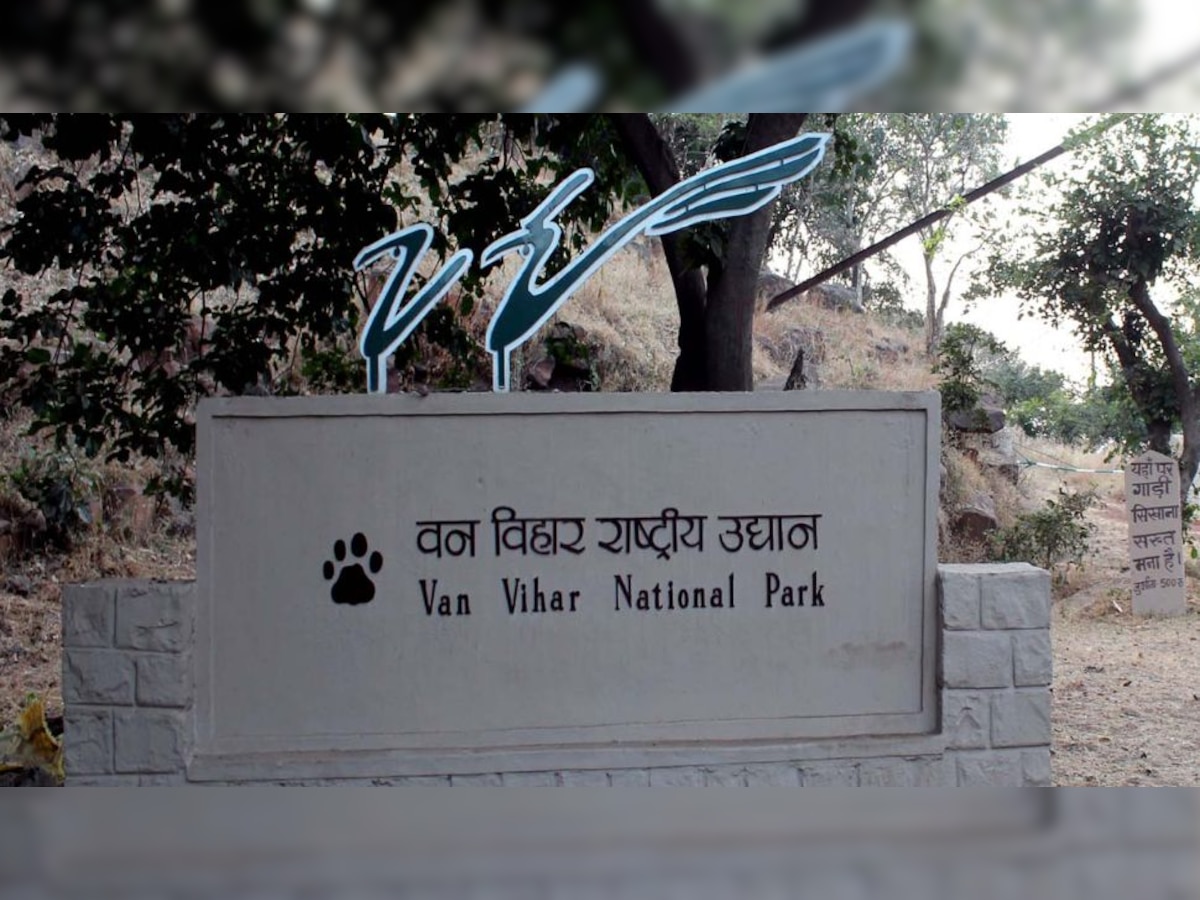 MP Best places to visit with friends family holidays honeymoon Hollyday ...