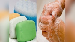soap bubbles की ताज़ा खबरे हिन्दी में | ब्रेकिंग और लेटेस्ट न्यूज़ in ...
