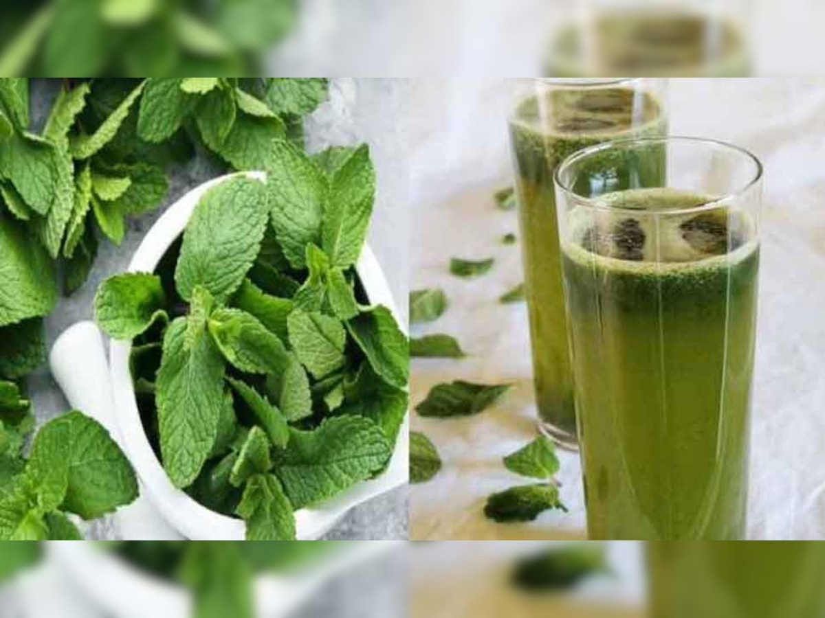 Pudina Chutney mint chutney benefit stomach Health in summer pundina ke ...