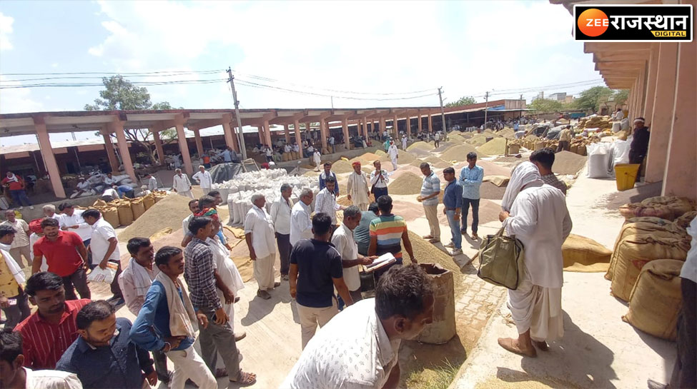 Nagaur News Agricultural produce market of Merta City has a different ...
