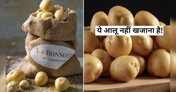Bonnotte potato rare expensive grown in france price will surprise you ...