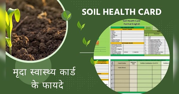 Central Government Agriculture Scheme Soil Health Card farmers get good ...