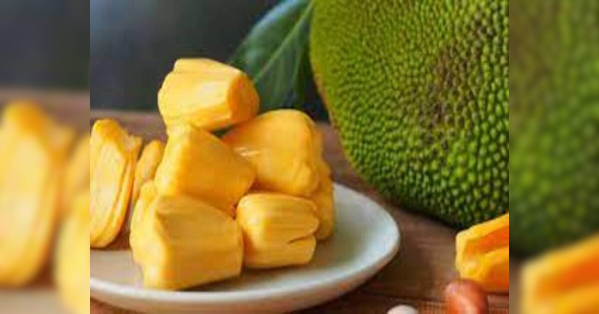 Jackfruit Facts: ଖରା ଦିନେ ପଣସ ଖାଇବା ଠିକ ନାଁ ଭୁଲ? ଜାଣନ୍ତୁ