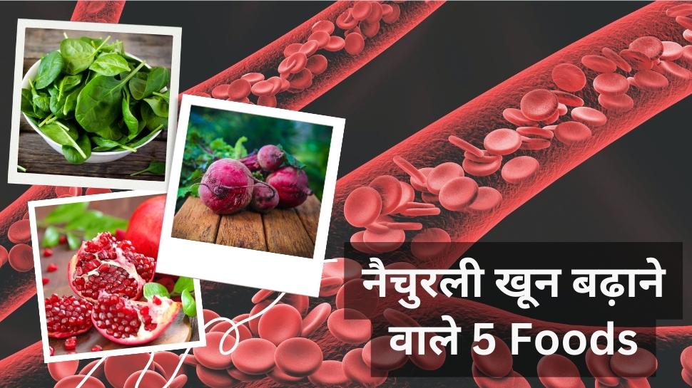 Anemia can occur during summer days add 5 foods in diet to increase ...