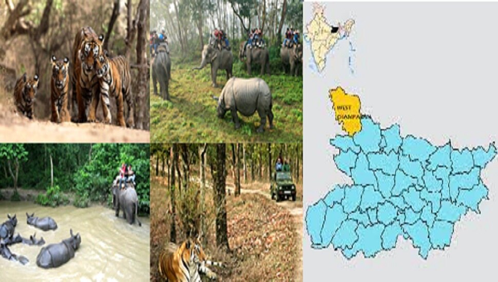 Lok Sabha Election 2024 West Champaran Seat How the electoral equation ...