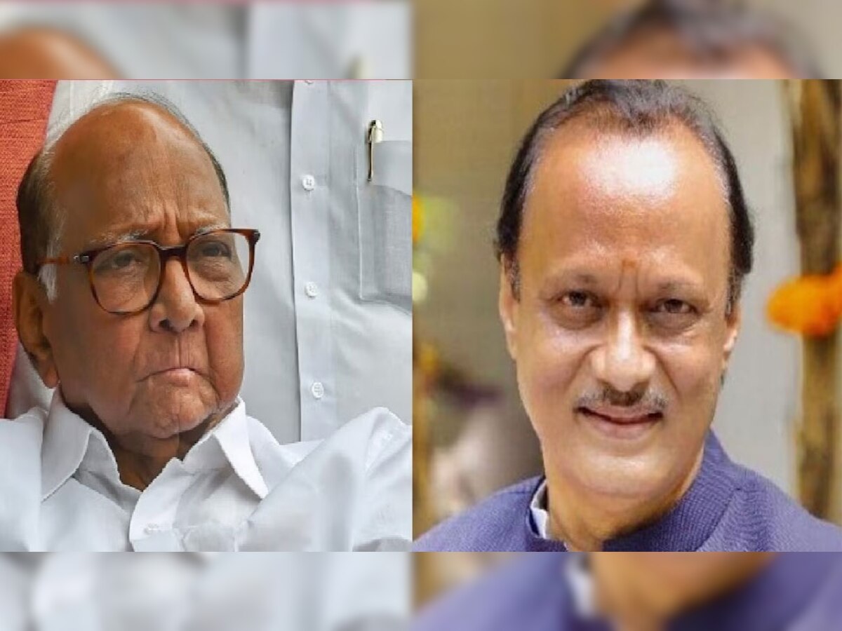 ajit pawar sharad pawar ncp issue brawl in maharashtra politics sharad out ajit from traing camp ...