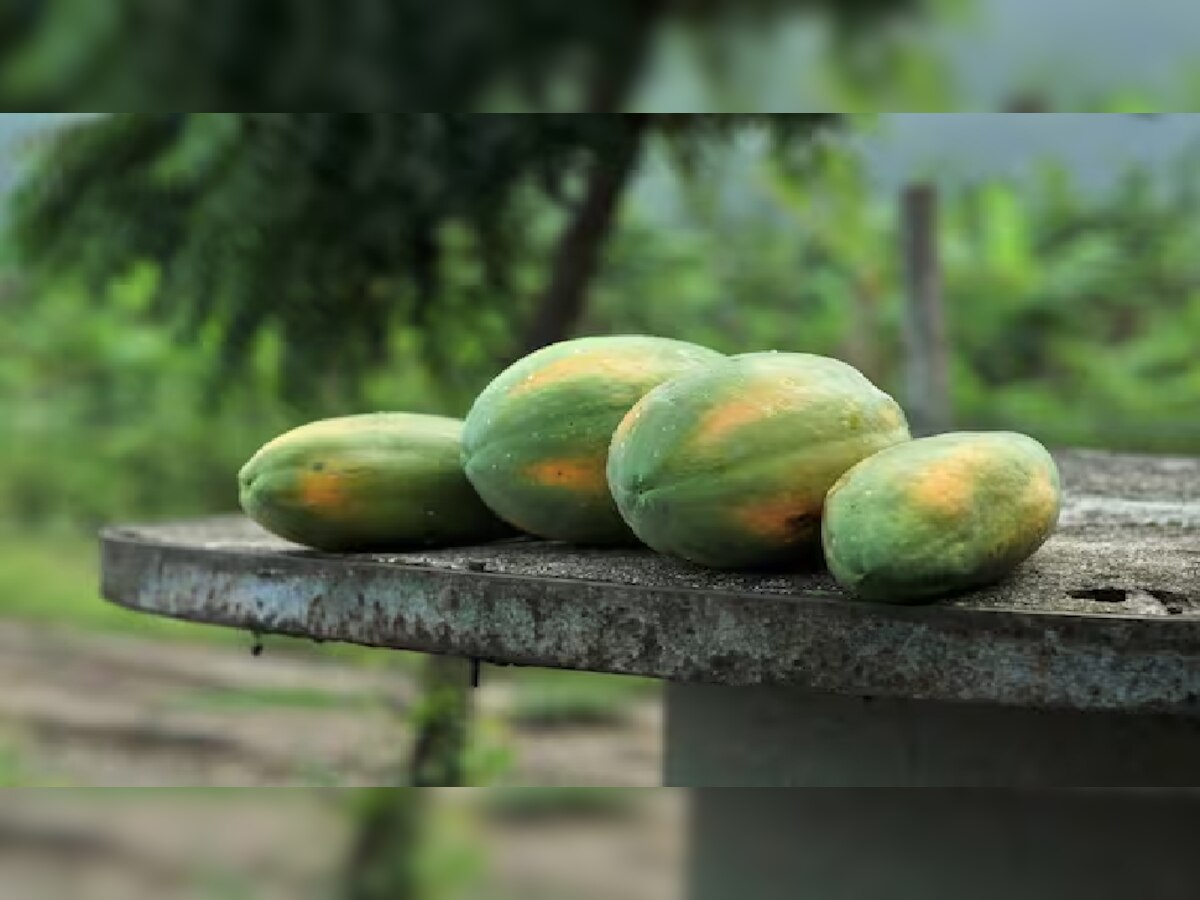 How to buy ripe and sweet papaya check these things at the shop itself ...