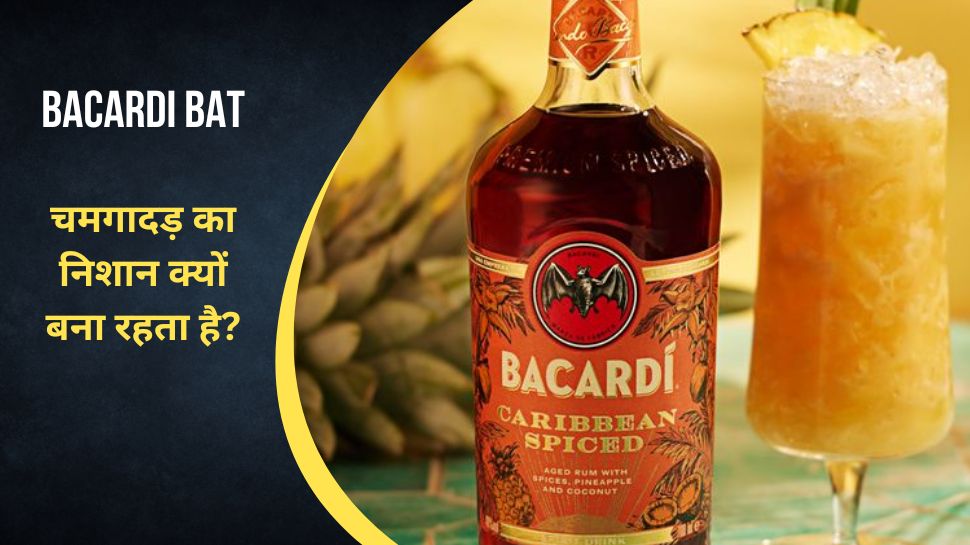 why there is bat logo on bacardi bottle know interesting answer behind ...