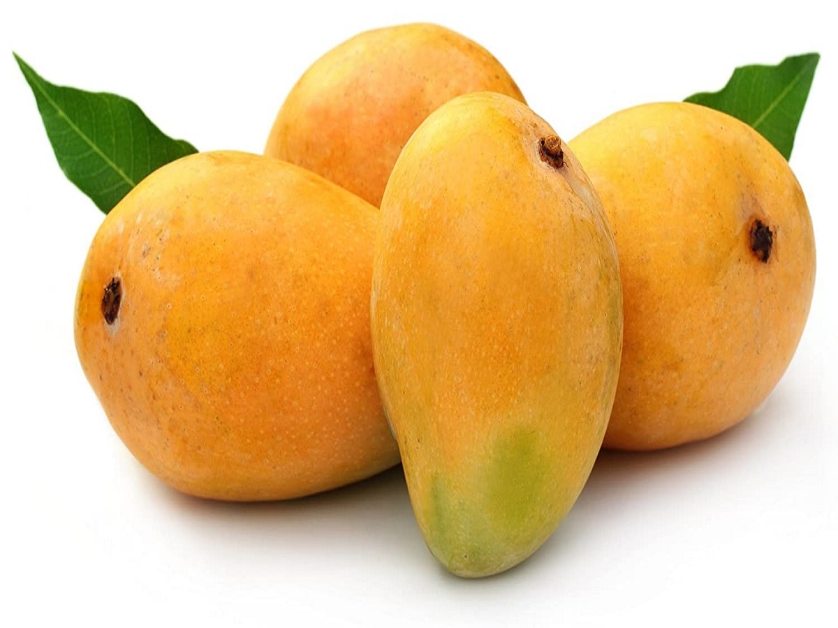 Mango Side Effects: ଏହି ରୋଗରେ ପୀଡ଼ିତ ଥିବା ରୋଗୀଙ୍କ ପାଇଁ ଆମ୍ବ ଭଲ ନା ଖରାପ ...