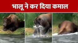 bhalu ka video की ताज़ा खबरे हिन्दी में | ब्रेकिंग और लेटेस्ट न्यूज़ in ...