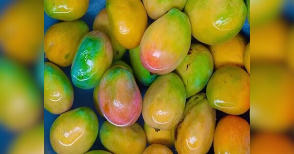 ଖାଇବା ଆଗରୁ ଆମ୍ବକୁ ଭିଜାଇବା କେତେ ଜରୁରୀ, କଣ କହୁଛନ୍ତି ଖାଦ୍ୟ ବିଶେଷଜ୍ଞ | Is ...
