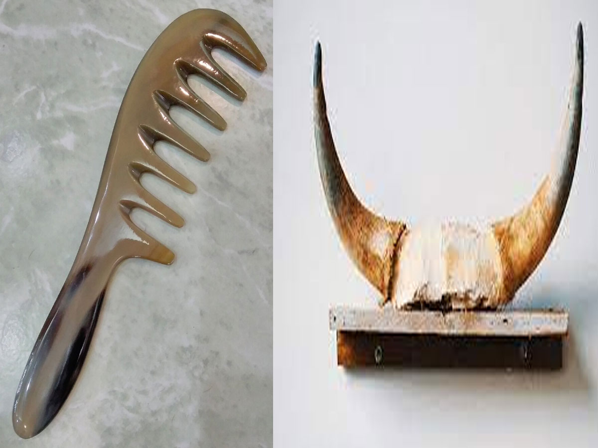Know How to make combs using animal horns viral Video | Video: देखें ...
