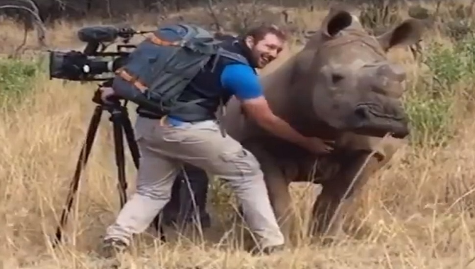 Young man reached to take photo with rhinoceros you will be surprised ...