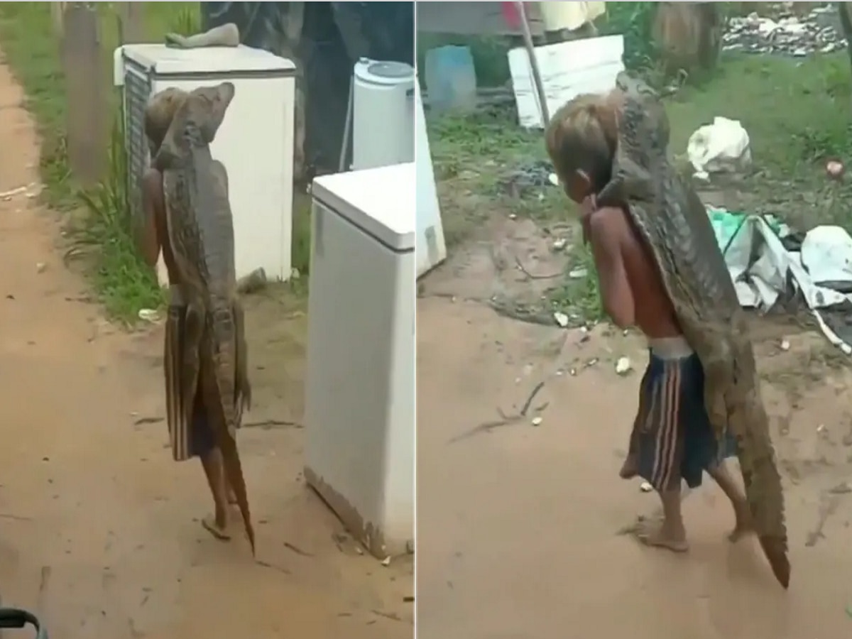 A man was hit by a train while making a reel, watch this heartbreaking ...