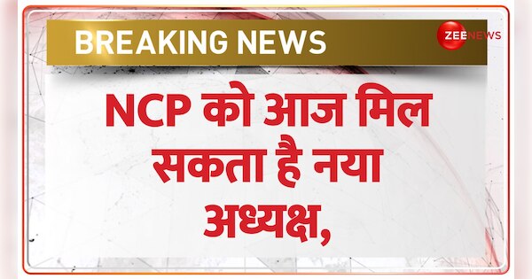 NCP to get new president today, committee of 5 members to decide name ...