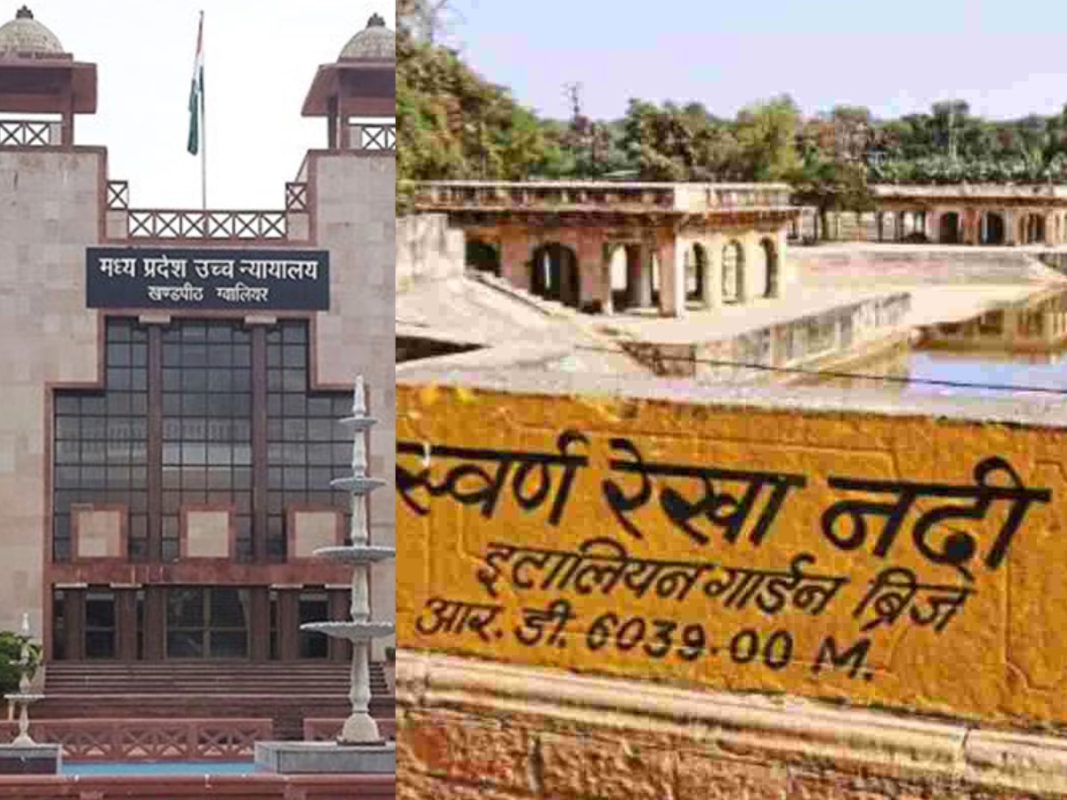 high court commented on the commissioner regarding the golden line ...