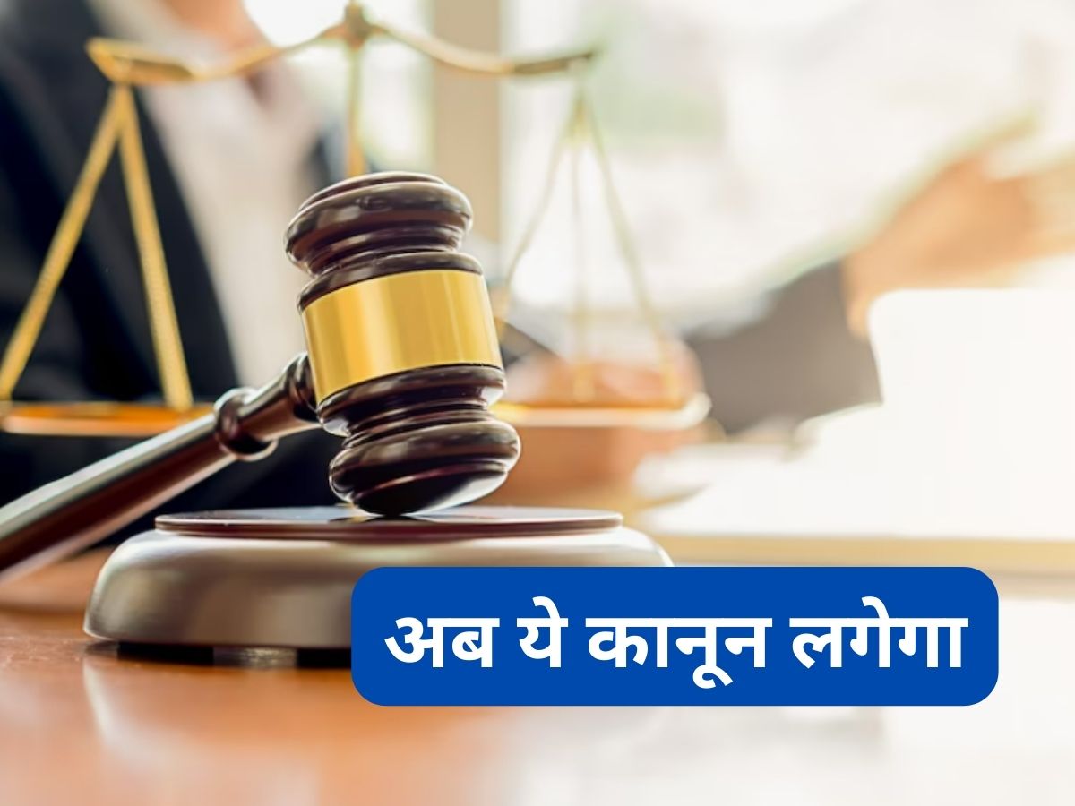 Chartered accountants company secretaries also now come under the ambit ...