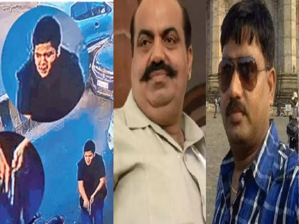 Prayagraj who is Thakur and Gabbar in Umesh Pal shootout case lawyer ...