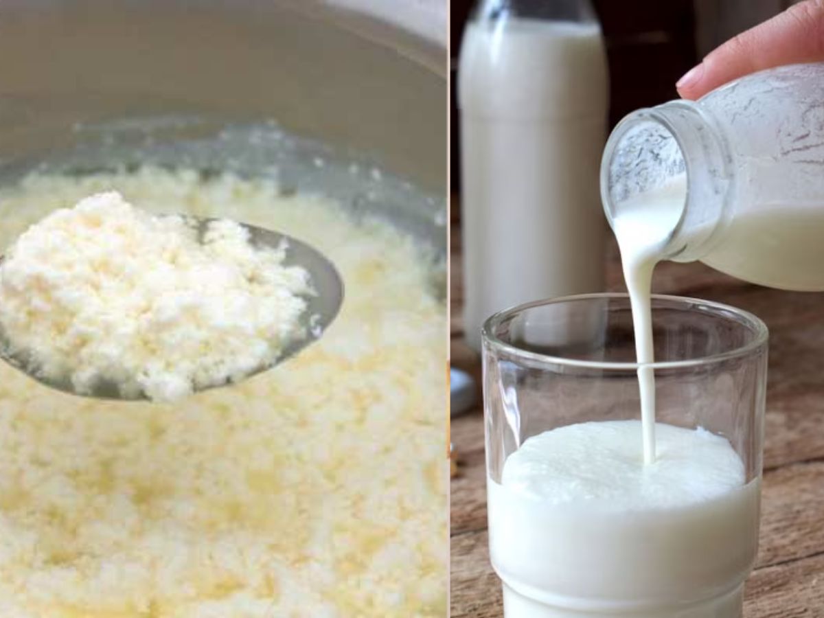 Why milk curdles in summer how to prevent milk from curdling | kitchen ...