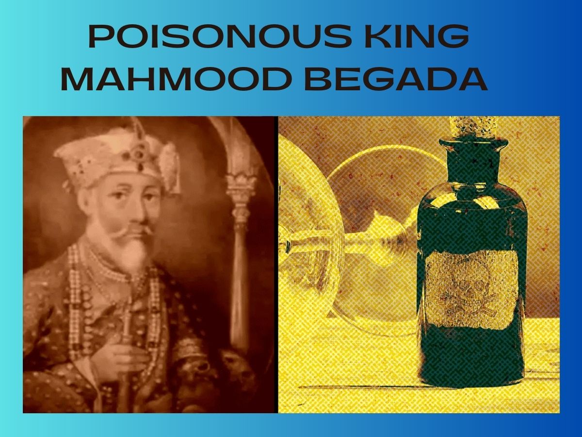 Knowledge History most poisonous king Mehmood Begada started eat poison ...