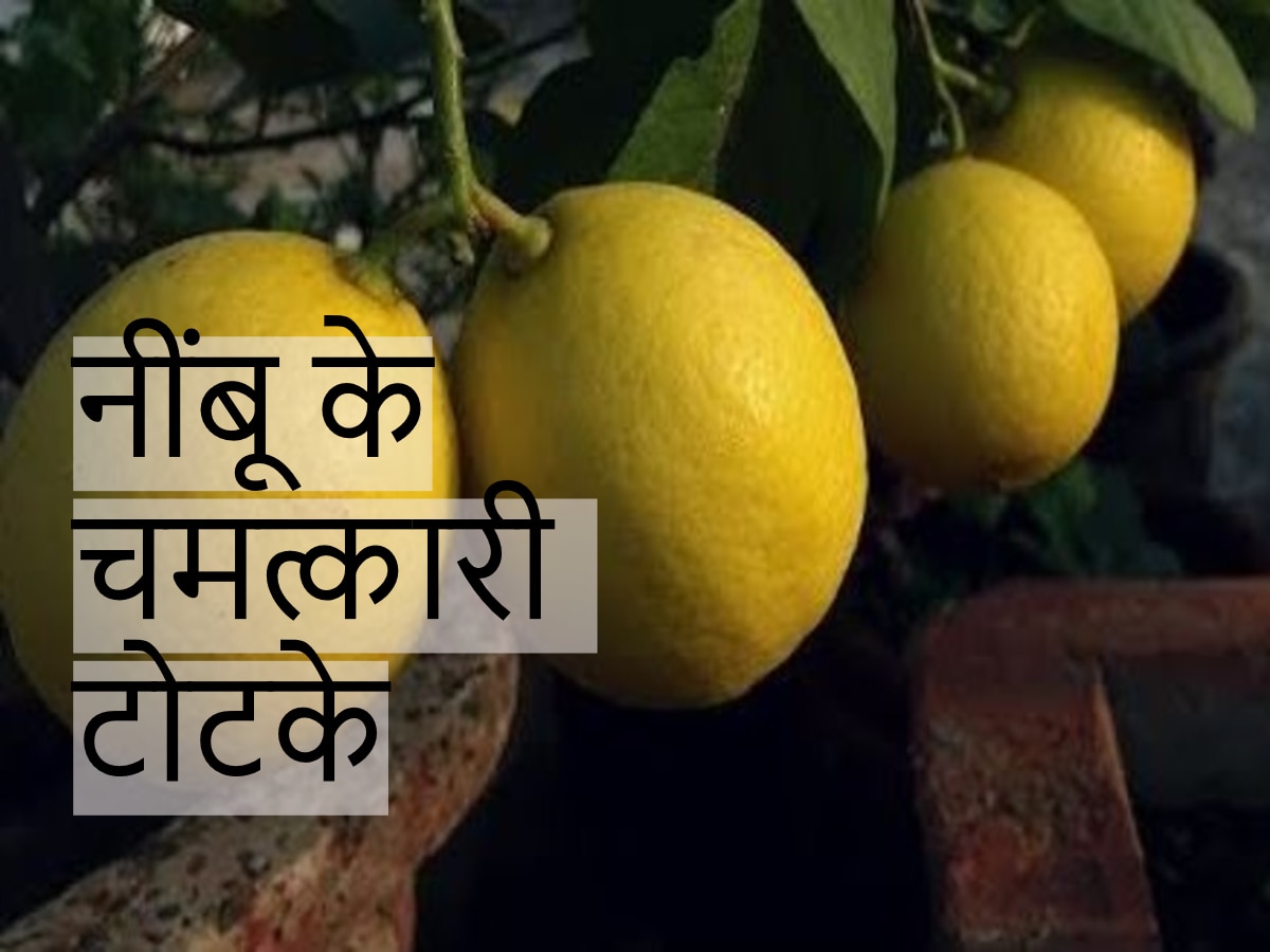Nimbu Ke Totke: नींबू के इस टोटके में छिपा है सफलता का राज, करते ही ...
