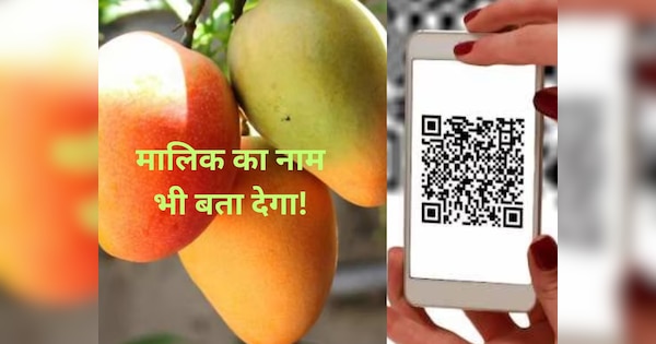 variety of mango by qr code malihabadi or dussehri aam | गजब हो गया! QR ...