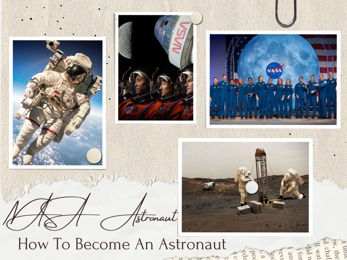 Career how to get job in NASA To become an astronaut do this course ...