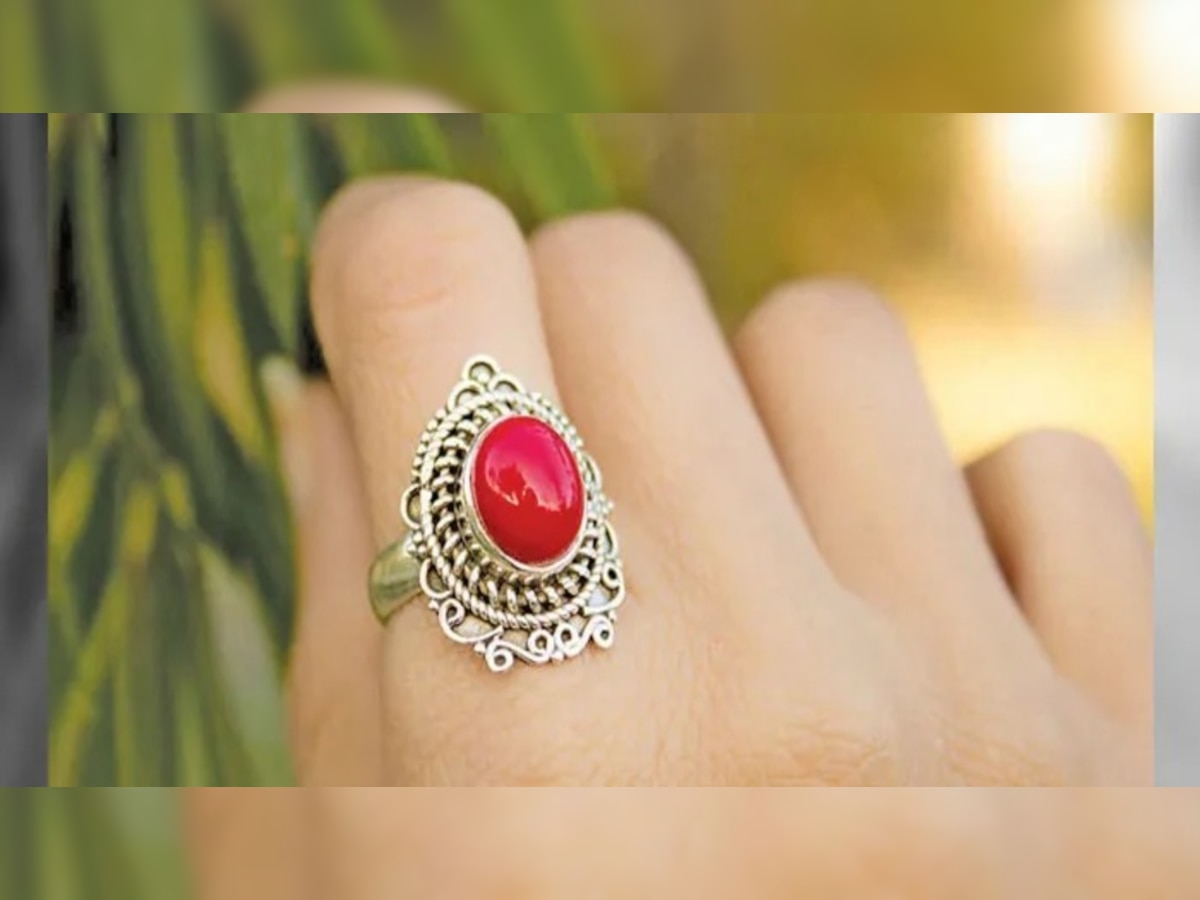 Moonga Ratan is life changer for everyone know the all details about ...