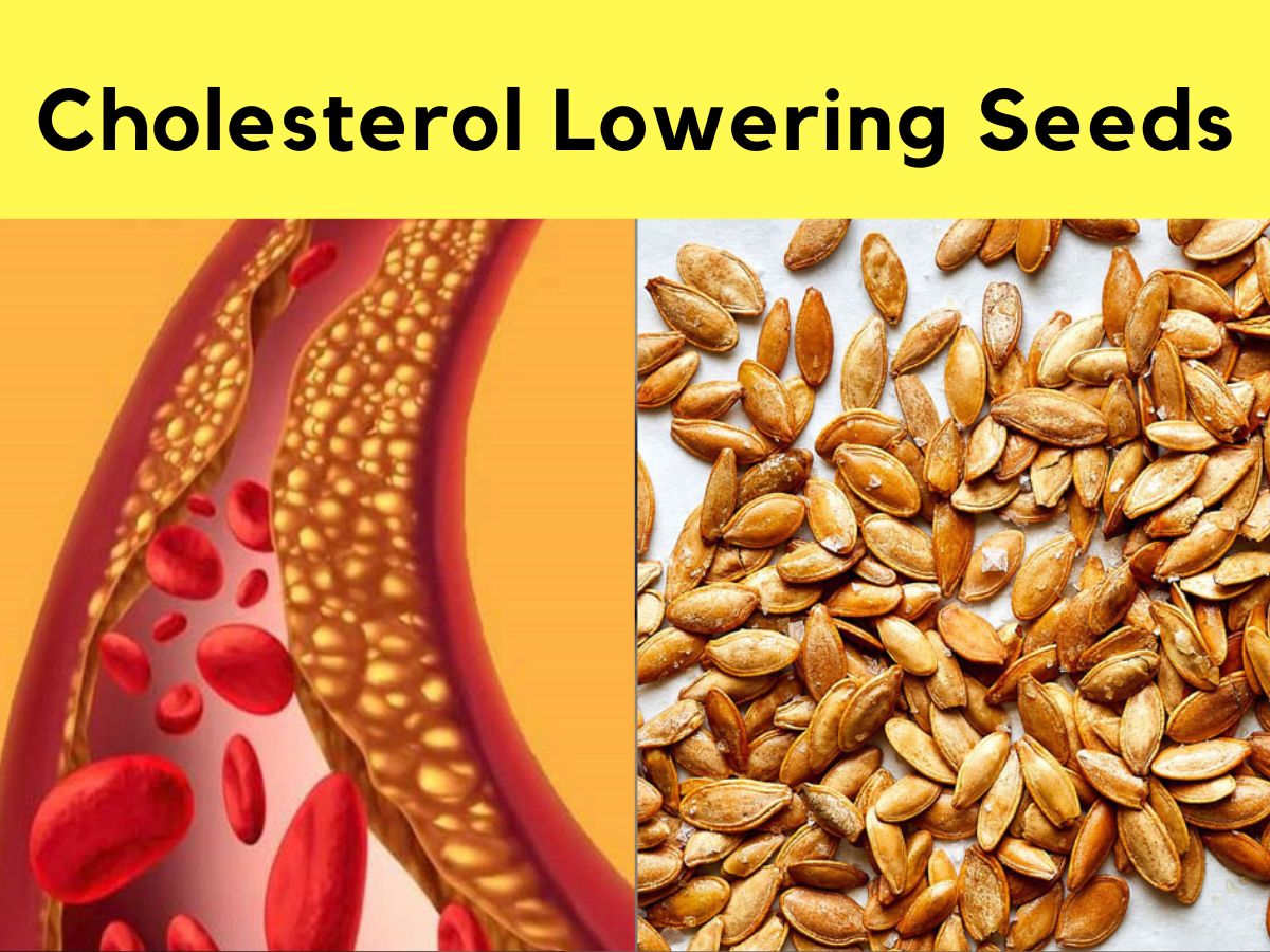 Cholesterol Lowering Super Healthy Seeds To Mi nize Risk Of Heart ...