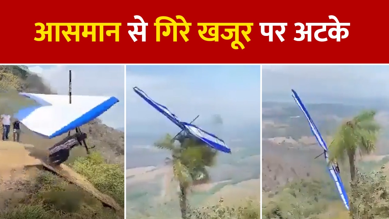 tourists paragliding land on dates tree asman se gire khajur par atke ...