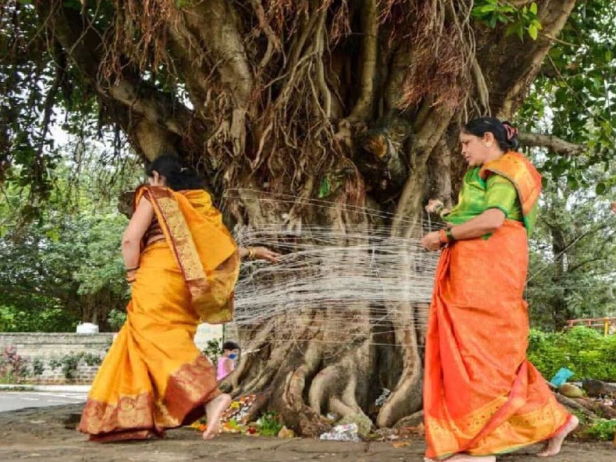 when is vat savitri vrat know puja upay for boon of unbroken fortune ...