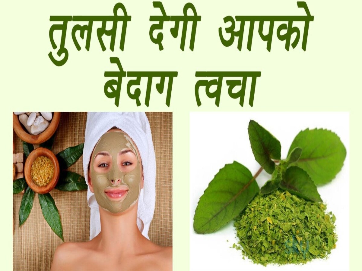 How To Make Tulsi Face Pack Pimples Pigmentation Solution | Hindi News ...