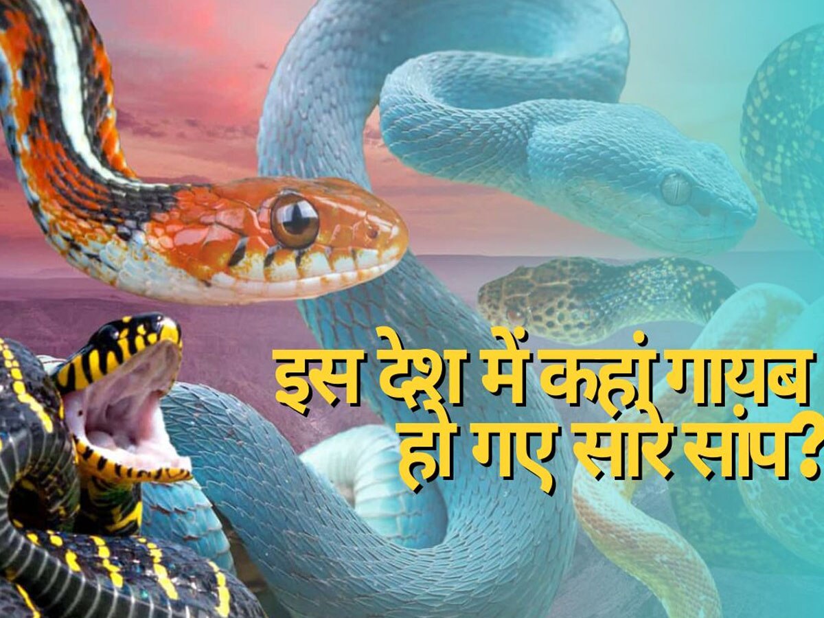 Country Without Snakes There is not single snake in this country know ...