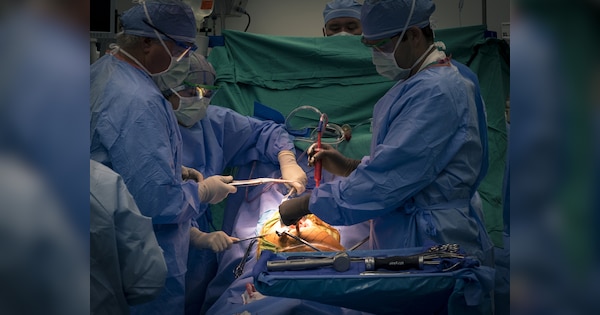 patient went to hospital for harnia operation doctor cut the main organ