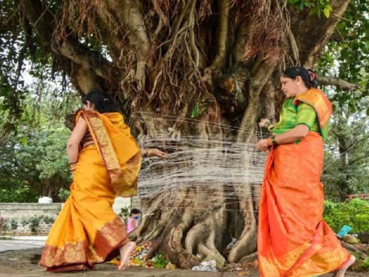 women doing first time vat savitri vrat know rule and pooja vidhi ...