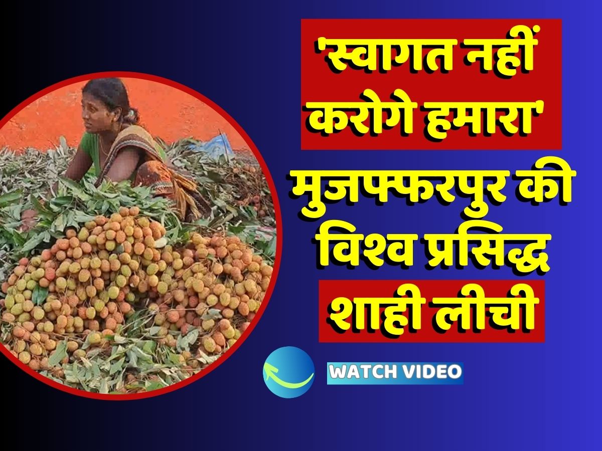world famous Shahi Litchi of Muzaffarpur landed in market huge crowds ...