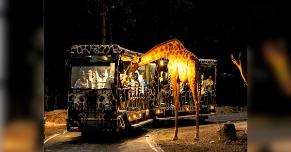 Lucknow Kukrail Night safari approved Zoo Kukrail Forest Reserve night ...