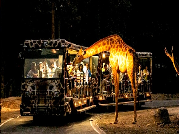 Lucknow Kukrail Night safari approved Zoo Kukrail Forest Reserve night ...