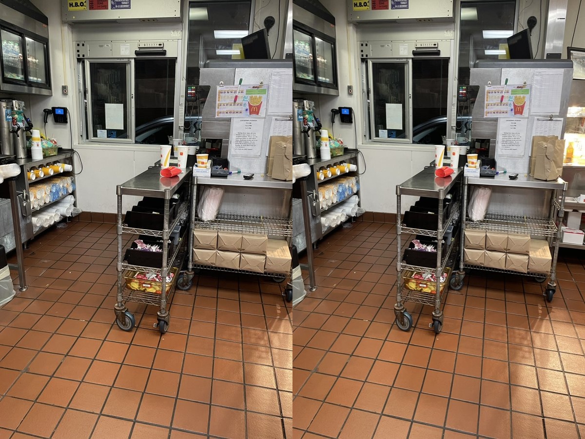 Optical illusion challenge find cat in this viral image with in 20 ...