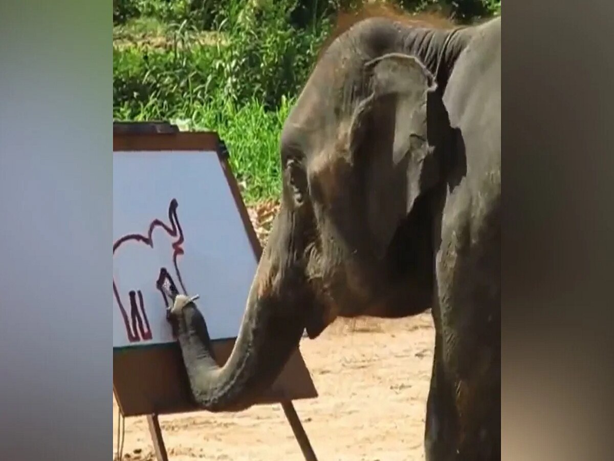 Meet the elephant painter, who is winning the hearts of users by making ...