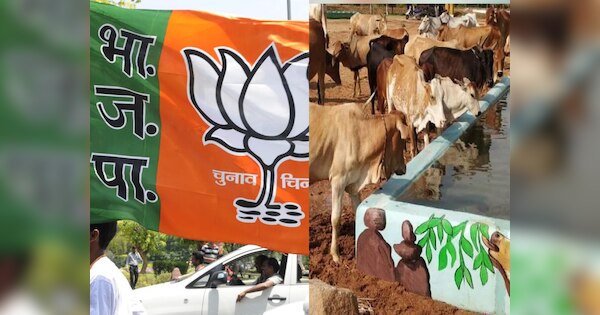 Chhattisgarh BJP alleges massive corruption in Bhupesh Goverment ...