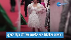 Cannes festival dube celebratity name की ताज़ा खबरे हिन्दी में ...