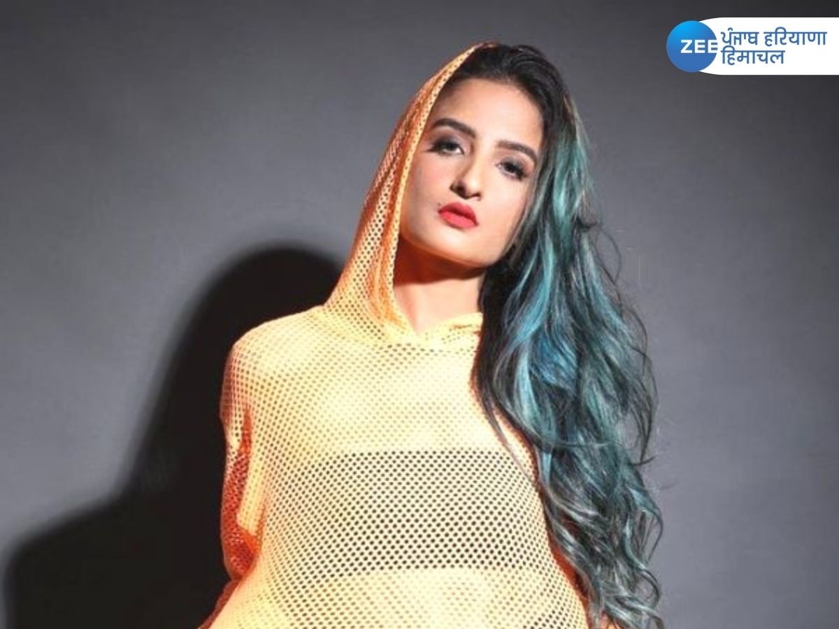 Khatron Ke Khiladi 13 contestants list: शिव ठाकरे से लेकर ऐश्वर्या ...