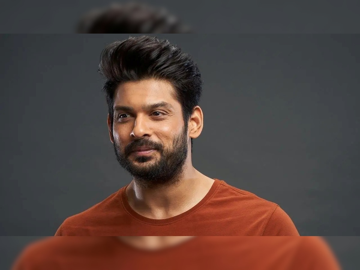 Aditya Singh Rajput Tunisha Sharma Kaushal Punjabi Pratyush Bajerjee tv ...