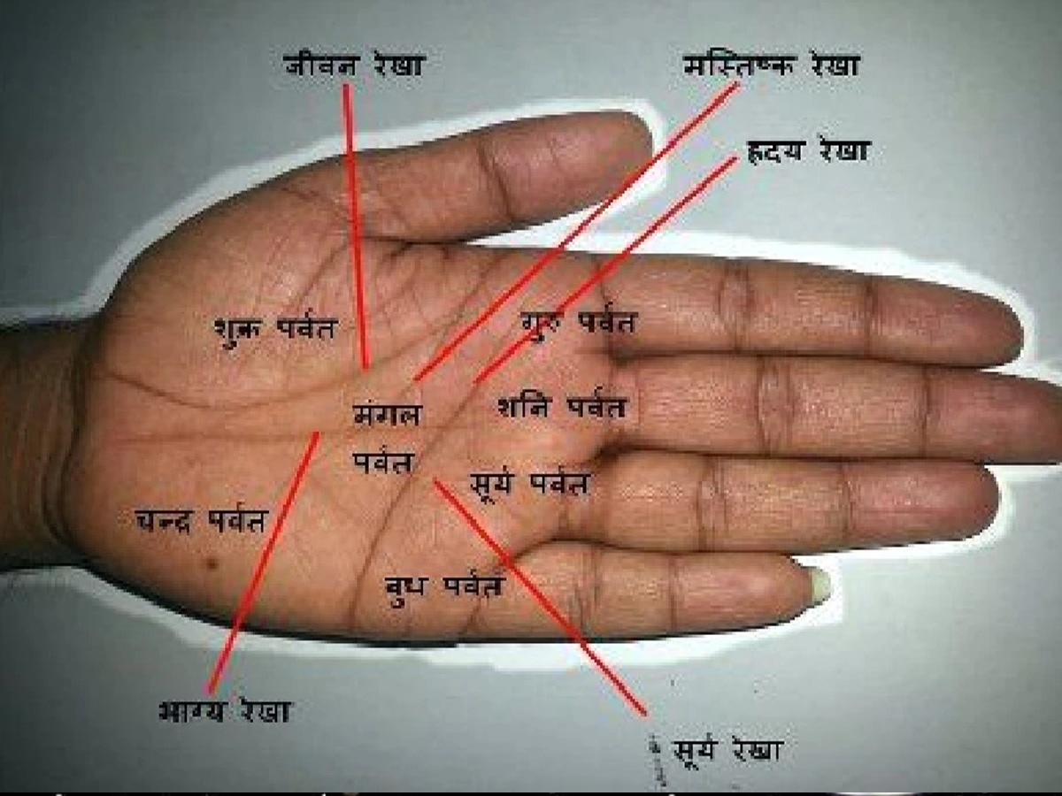 जिसके हाथ में हो ये धन रेखा वो जरूर बनता है करोड़पति! करता है पूरी ...