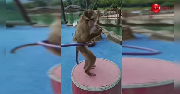 sexy Monkey did it with the dancing ring sexy belly dance like Malaika ...